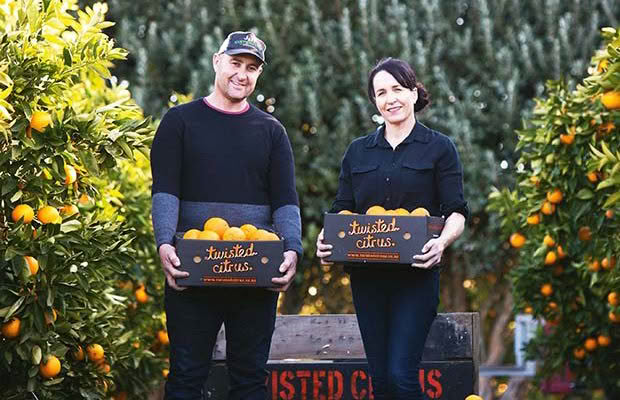 Twisted Citrus putting Gisborne oranges on the map