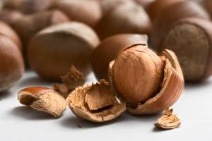 Hazelnuts 101: A guide to growing hazelnuts in New Zealand
