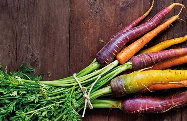 The colourful history of carrots