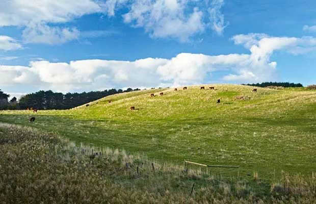 How to care for your pasture this autumn