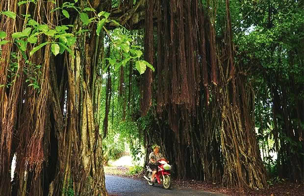 Exploring the roads less traveled in the Cook Islands