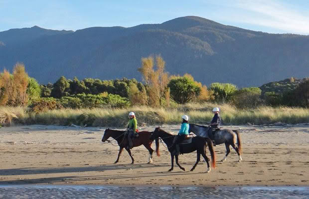 Horse trekking off the beaten track at Golden Bay's Hack Farm