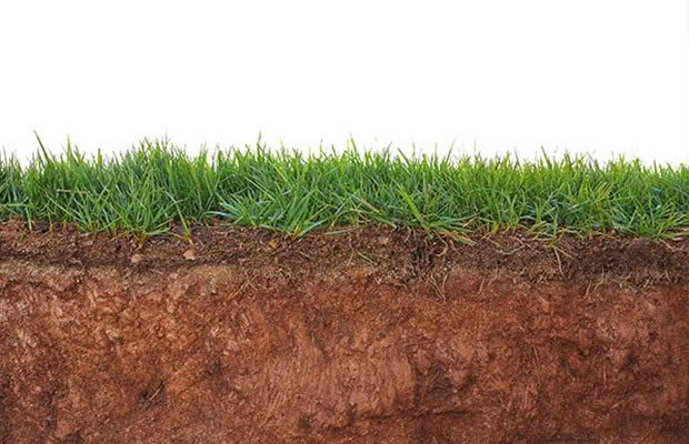 3 important things you need to know about lime and soil