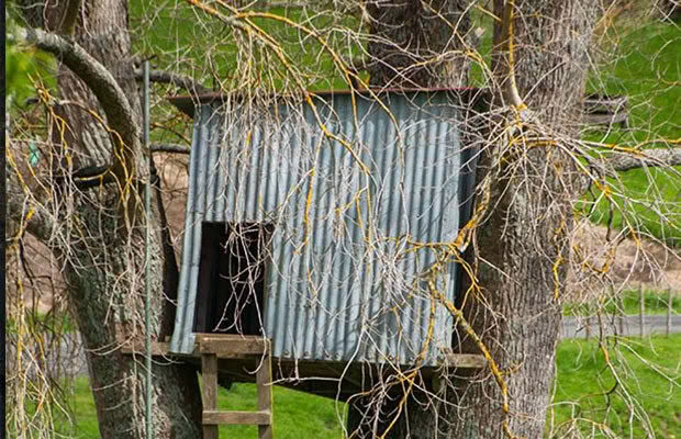 How to build the ultimate tree house