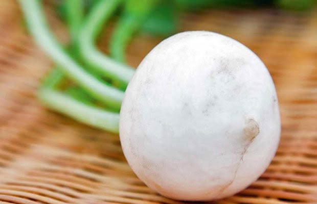 When to grow and harvest turnips in New Zealand