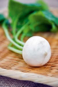 When to grow and harvest turnips in New Zealand