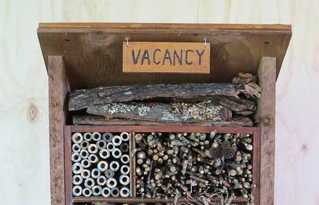 DIY project: Build a 'Bug Hotel' to attract beneficial insects