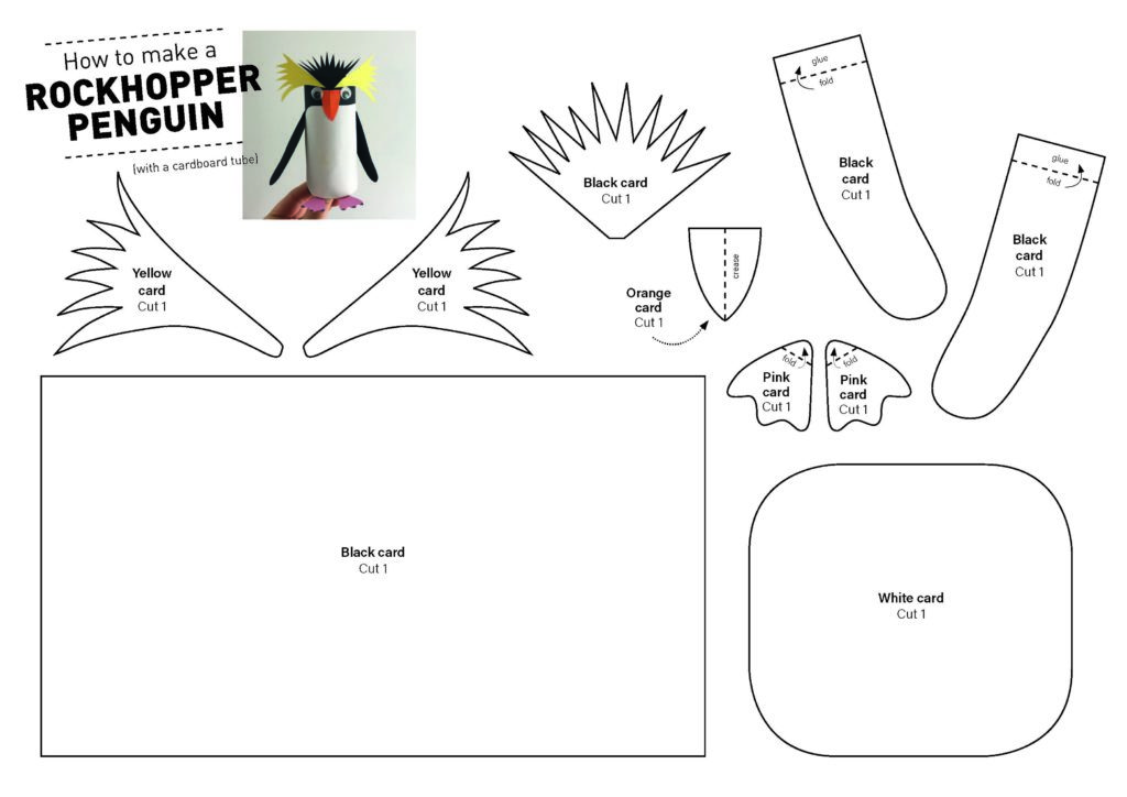 Kids' paper craft project: Make your own rockhopper penguin for Bird of ...