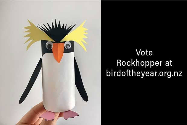 Kids' paper craft project: Make your own rockhopper penguin for Bird of ...