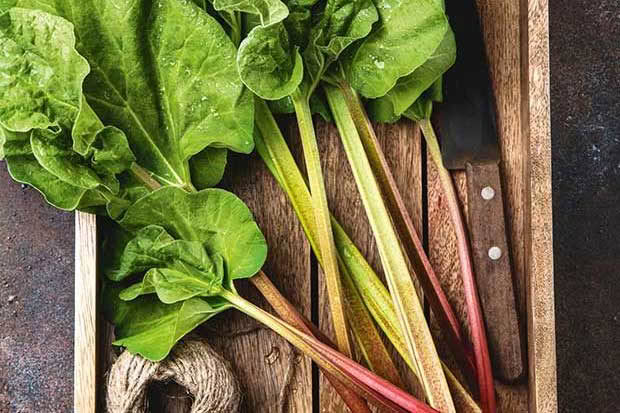 8 expert gardening tips for growing great rhubarb in New Zealand conditions
