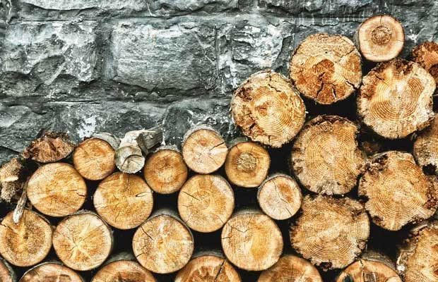 5 ways to check if your firewood is dry enough ahead of cool weather