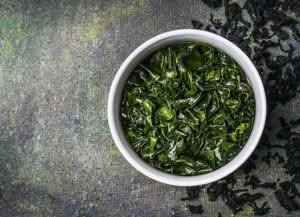 Seaweed 101: How to forage, harvest and use seaweed