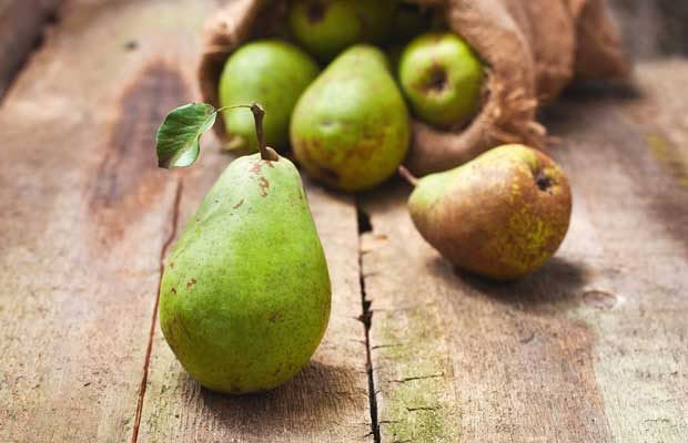 10 things you need to know about growing pears