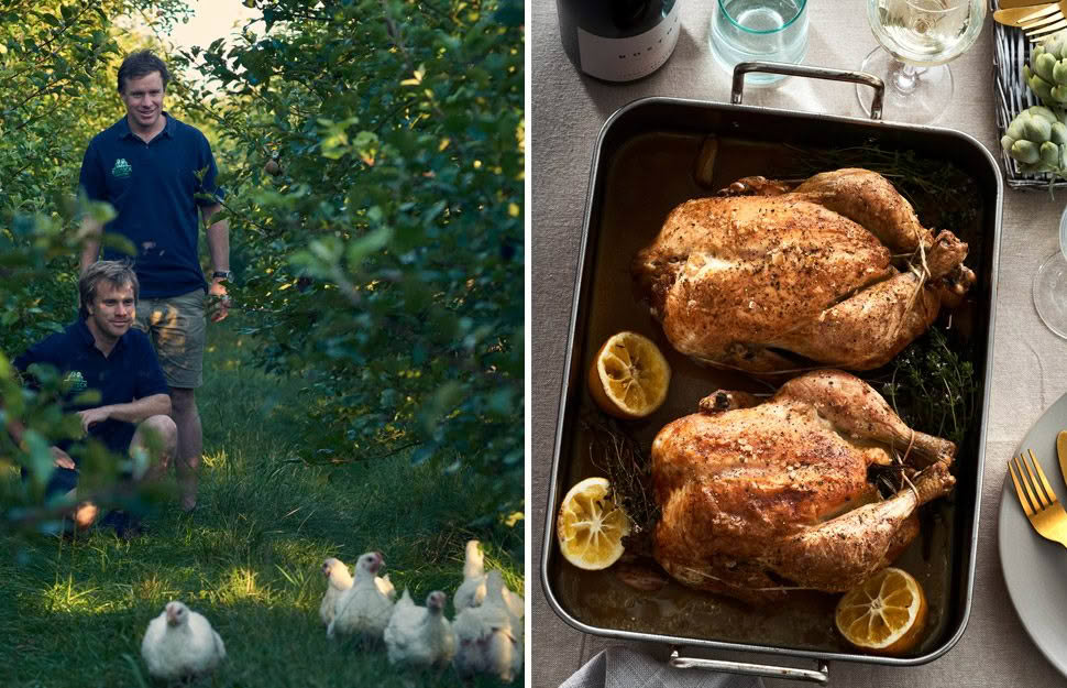 Bostock Brothers' free-range organic chicken named Supreme Champion at ...