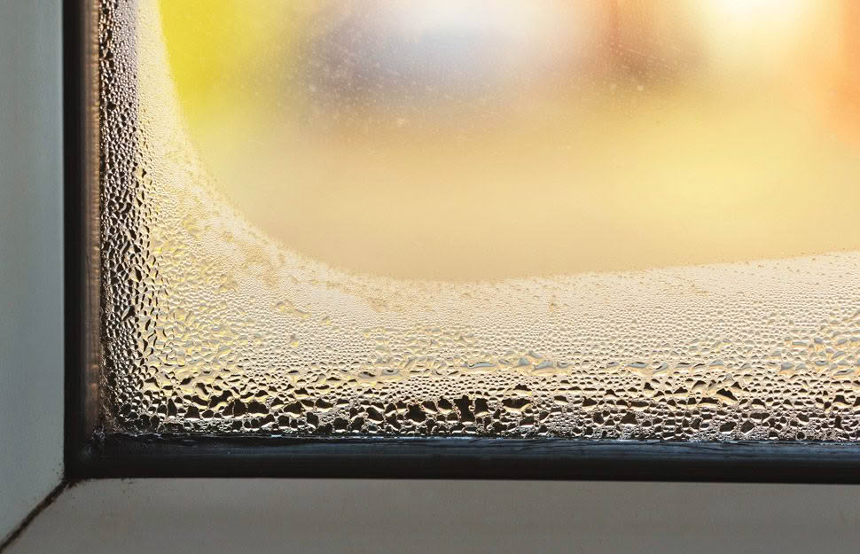 6 ways to tackle dampness in your home