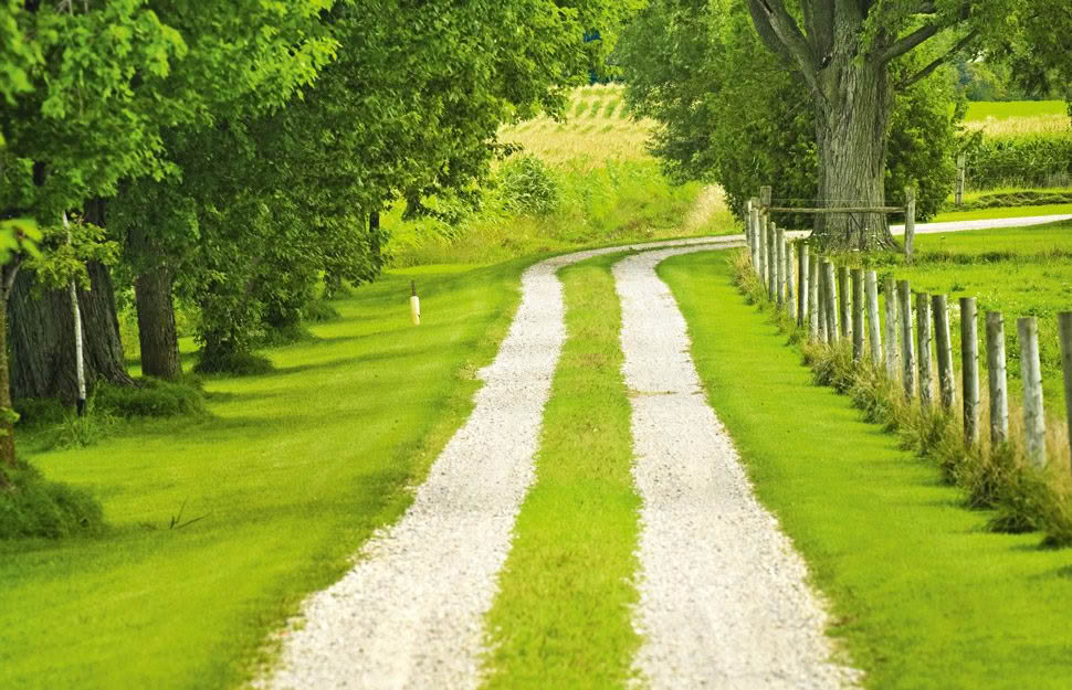 How to fix potholes, corrugation and mud on your driveway