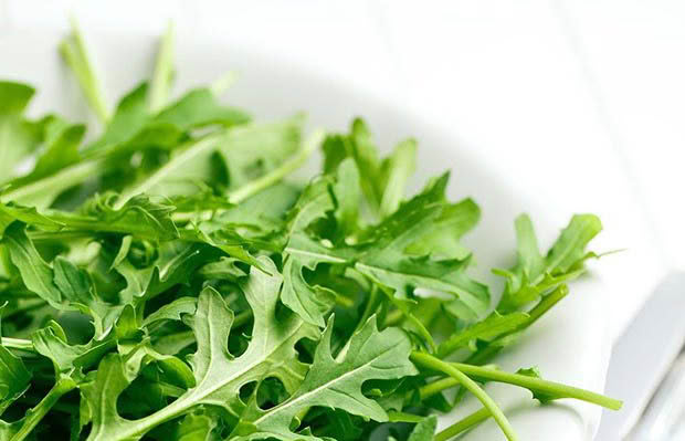 8 tips for growing and harvesting rocket (arugula)