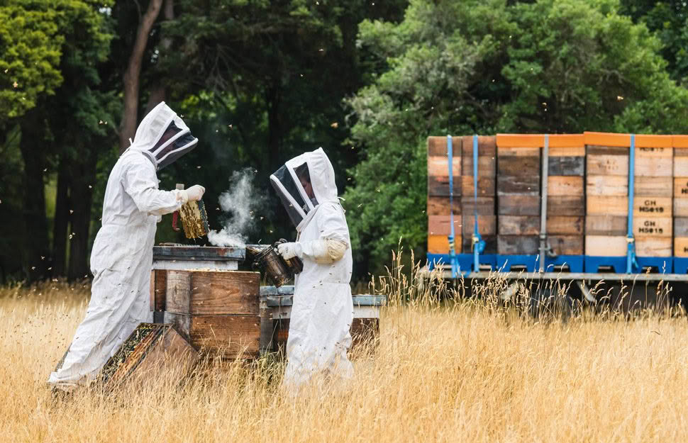 Meet the fifth generation of beekeepers living the sweet life in ...