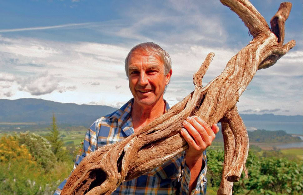 Behind Project De-Vine: How Chris Rowse's vision to clear noxious vines ...