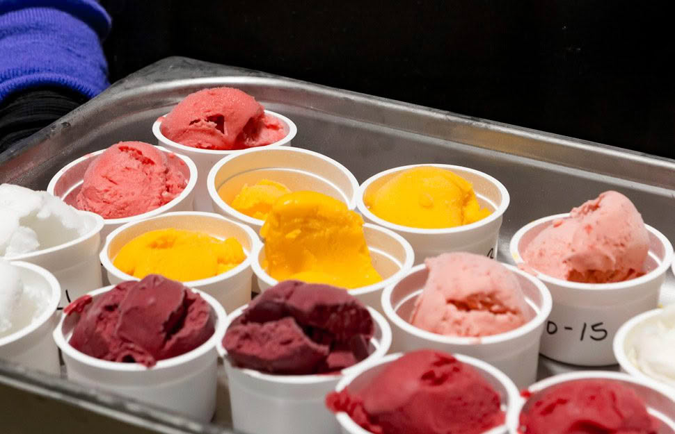 NZ Ice Cream Awards: Champion winners announced