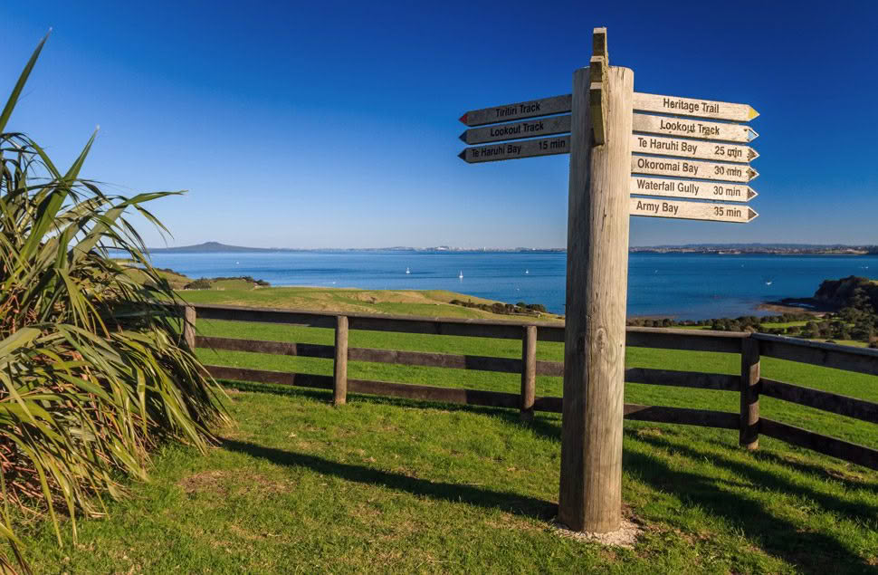 3 beautiful walks north of Auckland to explore this weekend