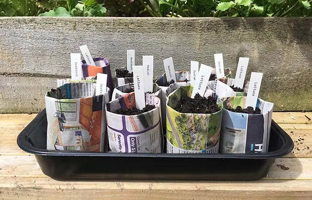 DIY: Make your own biodegradable seedling pots