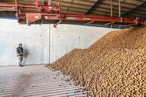 From paddock to potato chips: Meet the South Canterbury dynasty behind ...