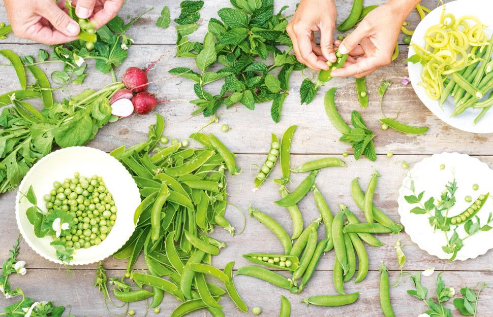 Nadia Lim's quick tips for growing peas
