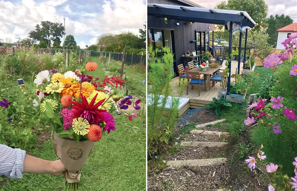 7 lessons from a slow-flower garden in Matakana