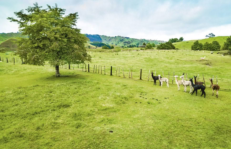 Why it pays to plan the perfect block (PLUS how to create a basic farm ...