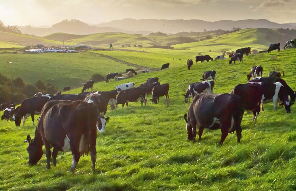 Dr Mulgan: Balancing our food needs with the soil that supplies it