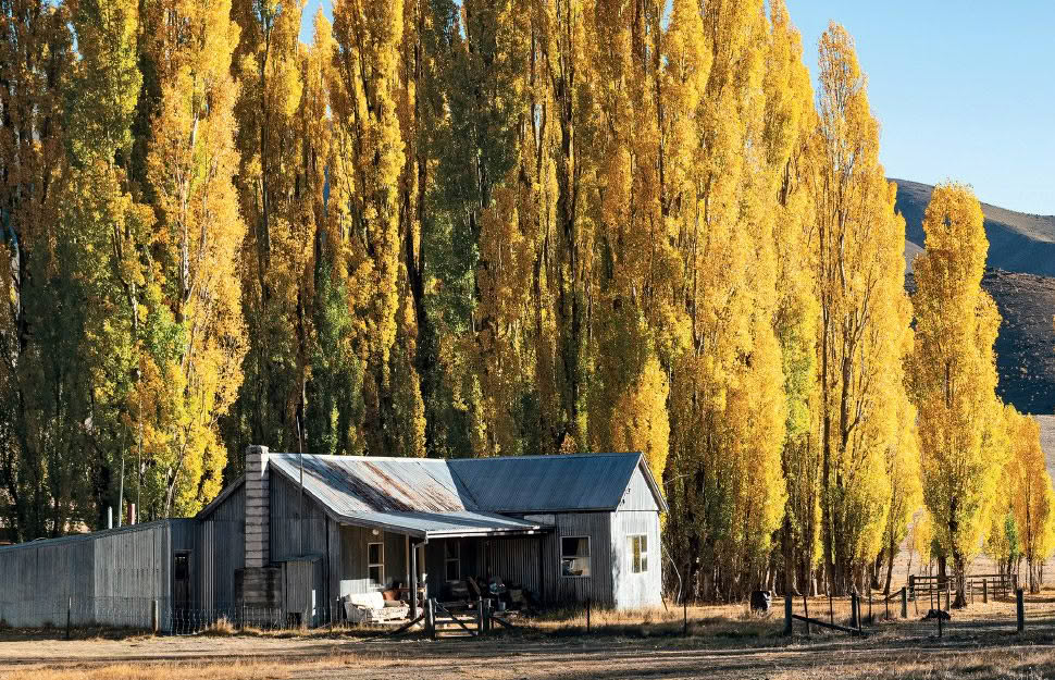 Exploring the history of the Mackenzie Country's 2000-hectare Haldon ...