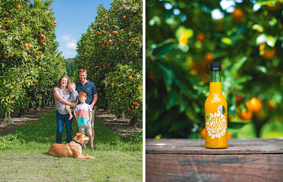 This Gisborne orchard's award-winning orange juice is summer in a bottle