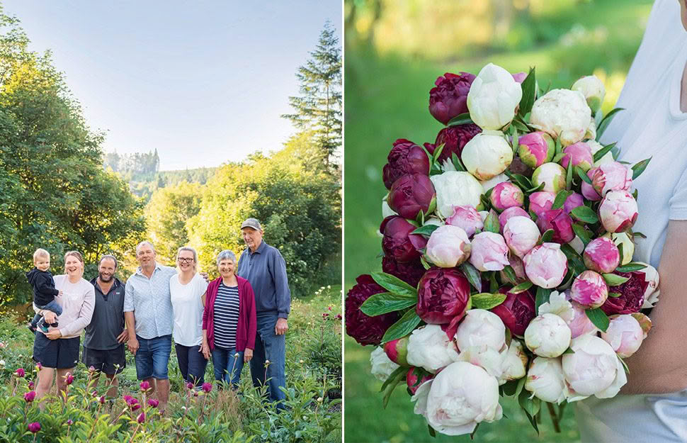 This Naseby family's late-season peonies are enjoyed all over the world