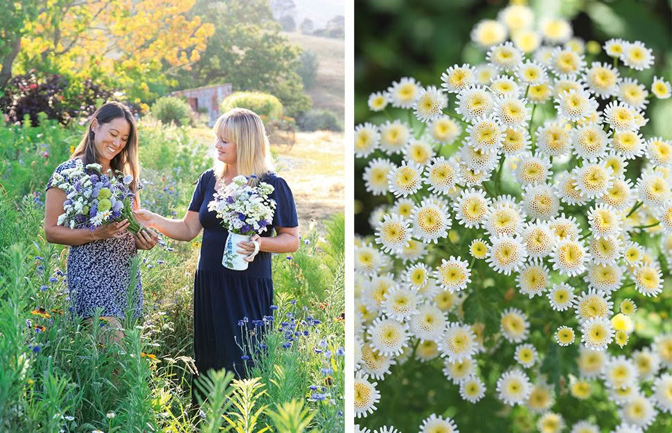 Companion planting: Lynda Hallinan knows the right plants (and ...