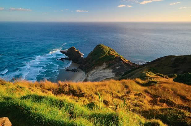 Ngāti Kurī chairman Harry Burkhardt reflects on how his whakapapa ...