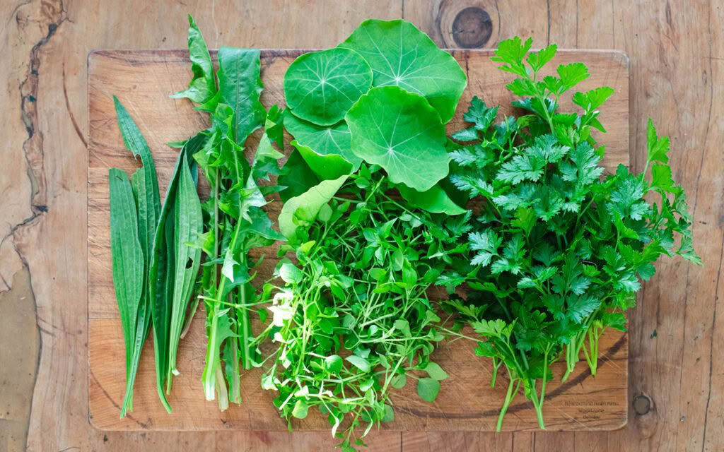 Nicola Galloway: A foraged garden herb and wild weed pesto