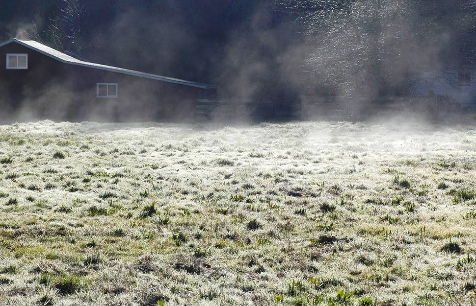 3 common ways to wreck winter pasture