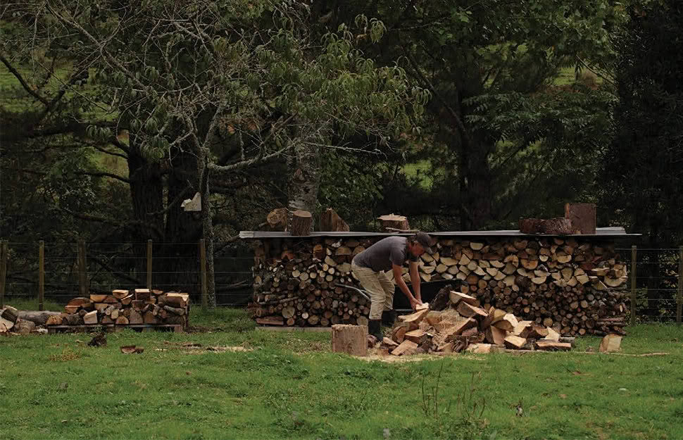 The basics of firewood harvesting and storage from an expert