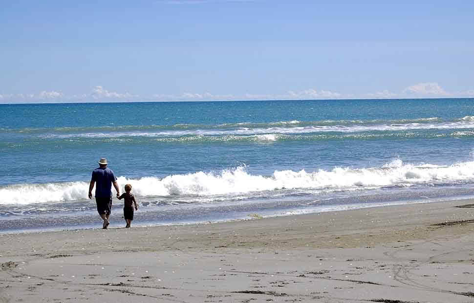 Q&A: Building your immunity with Dr Roderick Mulgan