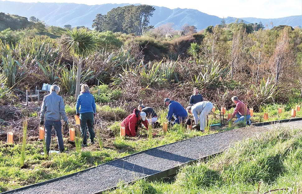The team preserving and promoting the importance of Waikanae Estuary ...