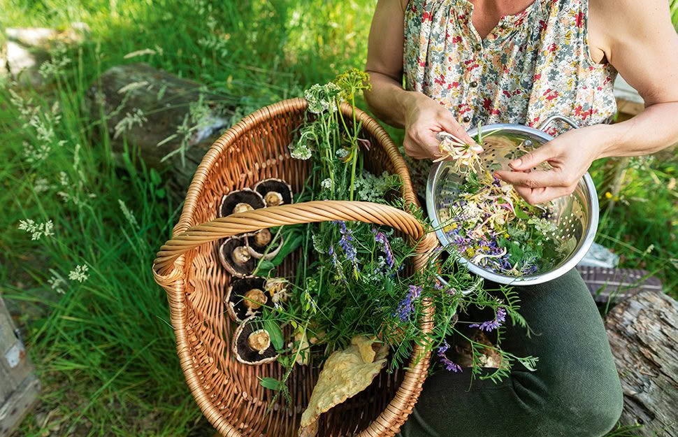 7 ways to create abundant food production on your block