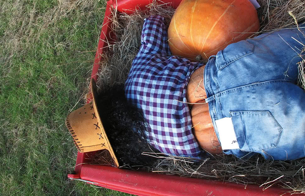 The giant pumpkin contest that revived a community
