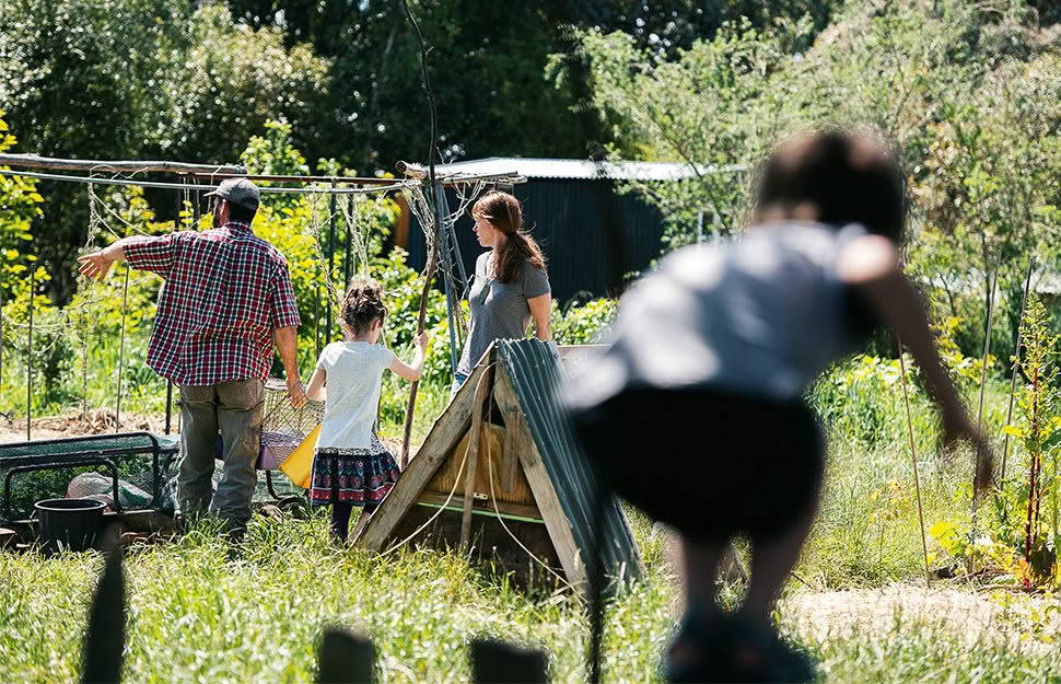Ever heard of a chook tractor? The functional time-saver on your block