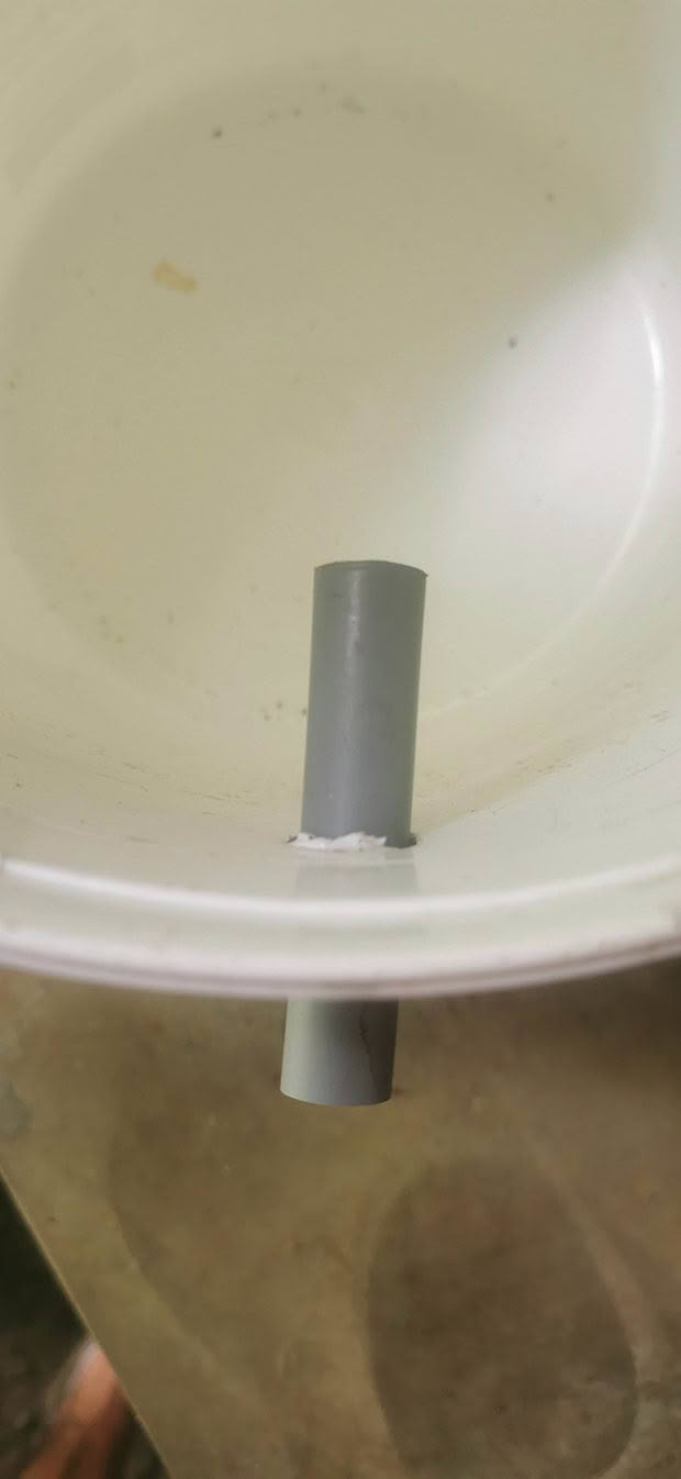 How to keep a fly invasion under control