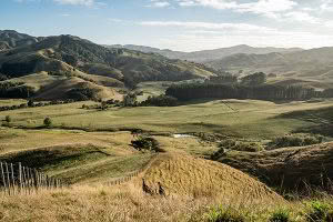 NZ Life & Leisure - Our Way of Life